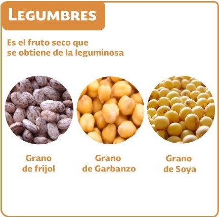 Ejemplo/Definición Legumbre